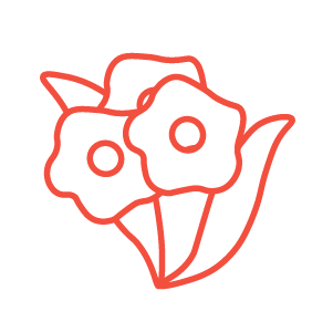 Funeral Lei Guide - Sympathy and Funeral Leis | Cindy's Lei Shoppe